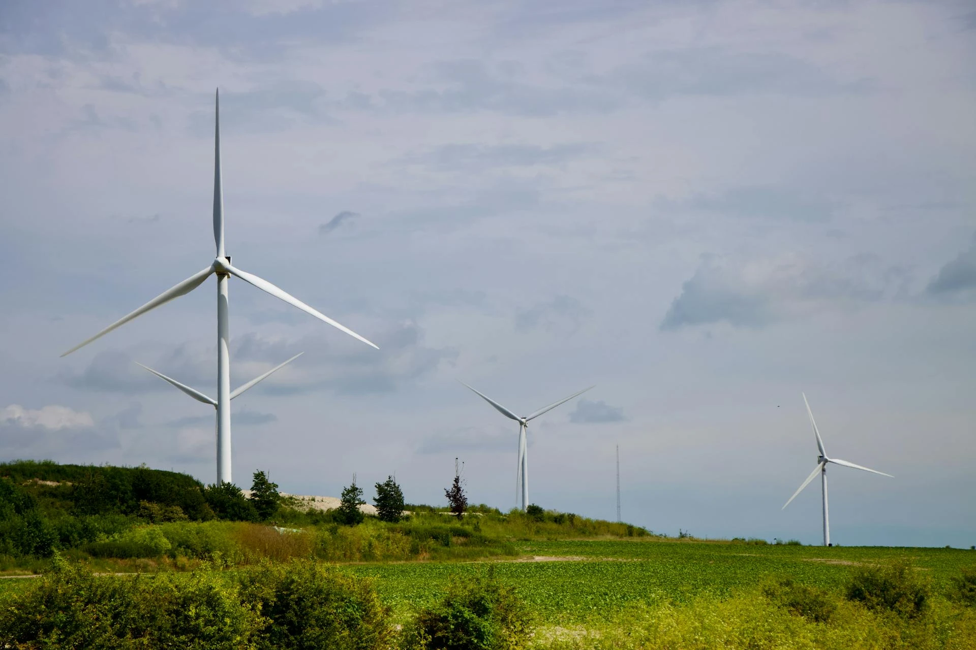 How Will RWE and NBIM Shape Europe's Wind Energy Future? | Utilities ...